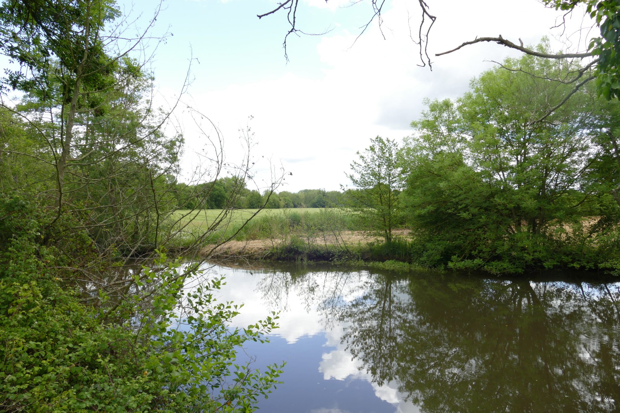 Présentation - Mairie de Noyal-Chatillon (35)